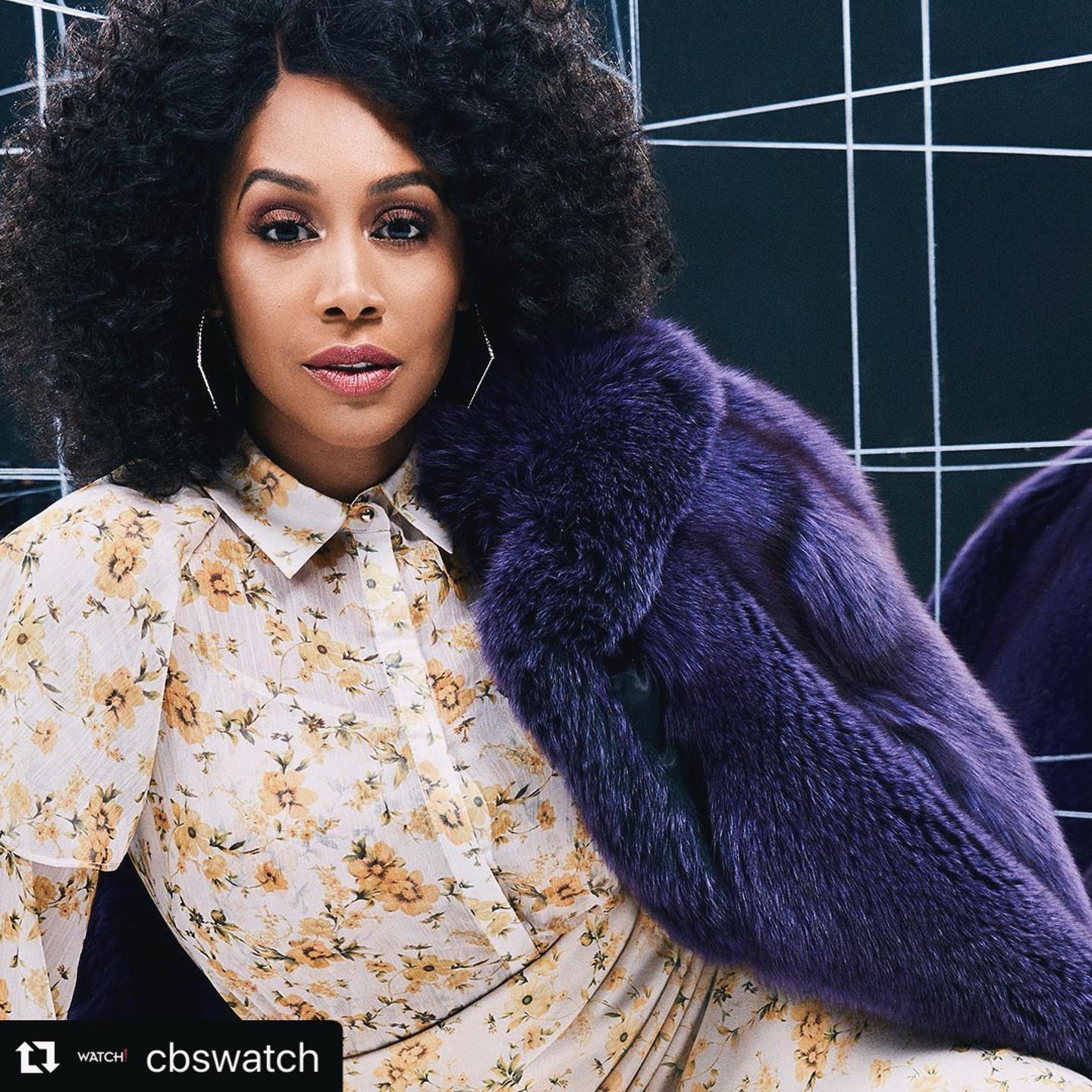 Simone Missick: Age, Height, Husband, Biography & Family